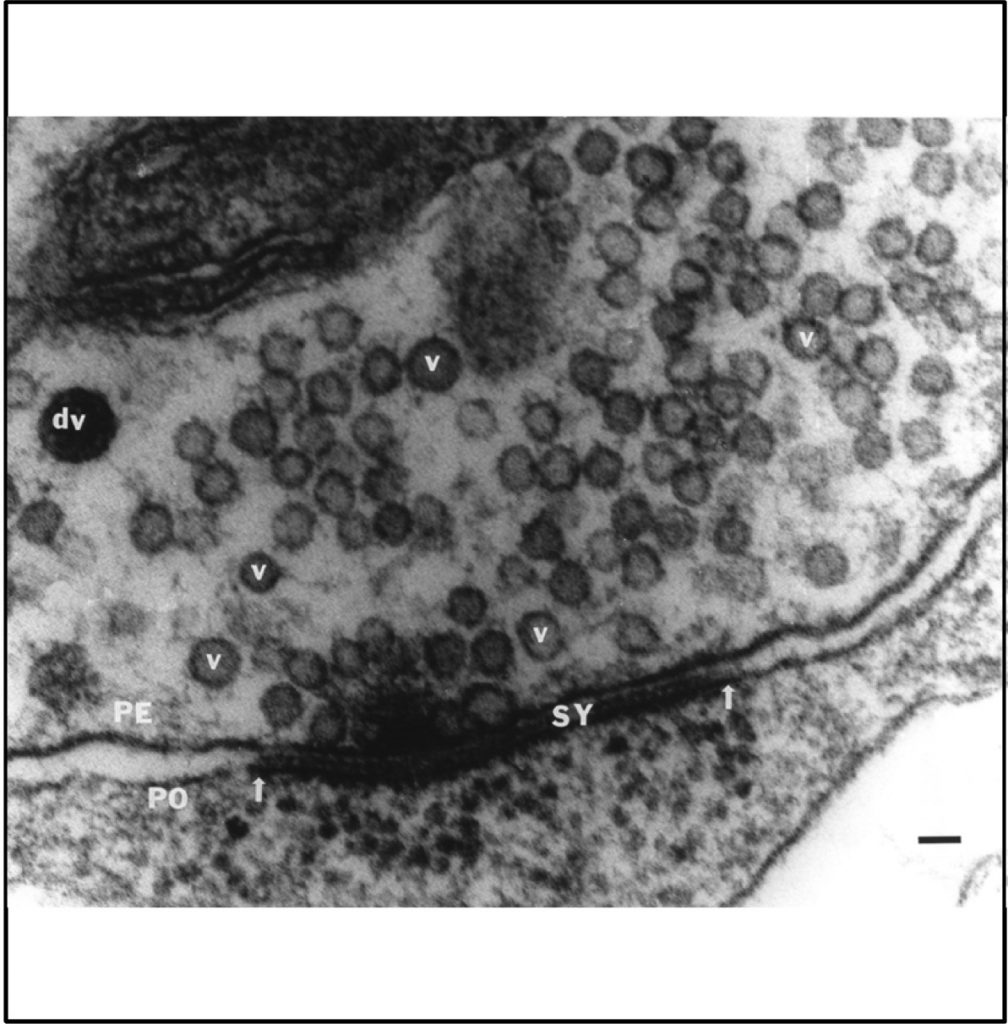 Cooper Lab – UK Biology Graduate Program